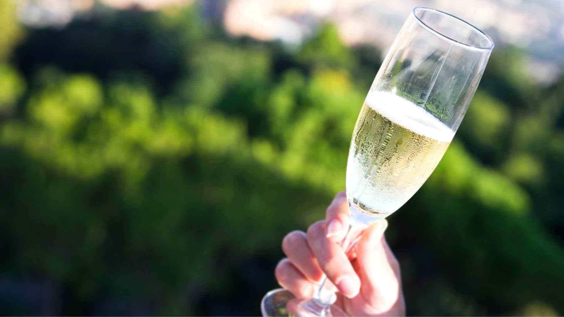 Bodza a konyhában • Naturland Magyarország